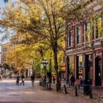 5 hours Private Sightseeing Tour-from YVR Airport or Cruise Port - Analyzing the Experience in Detail
