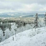 5 hours Winter Wonderland Guided Hike to Fullerton Loop - Final Thoughts