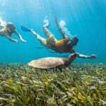 5-in-1 Cancun Snorkeling: Turtles, Reef, Musa, Shipwreck, Cenote - What Sets This Tour Apart