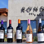 5 wines Tastings with Tour in Valle de Guadalupe Winery - Who Should Consider This Tour?