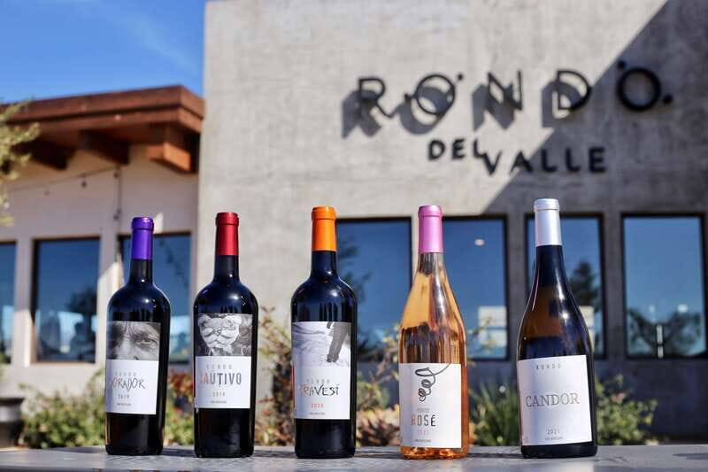5 wines Tastings with Tour in Valle de Guadalupe Winery - Who Should Consider This Tour?