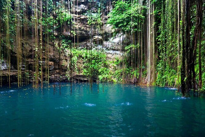 5x1 Tour: Tulum Coba Cenote Mayan Village and Playa del Carmen - Value and Cost Analysis
