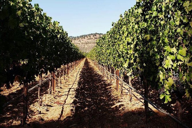 6-Hour Luxury Napa Wine Tasting Tour with Route Planning - Who Should Consider This Tour?
