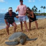 6-Hour Private Customized Luxury Convertible Tour of Oahu's North Shore - A Detailed Look at the Itinerary