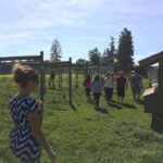 6-Hour Victoria to Cowichan Wine Tour - The Itinerary Breakdown: What to Expect on the Day