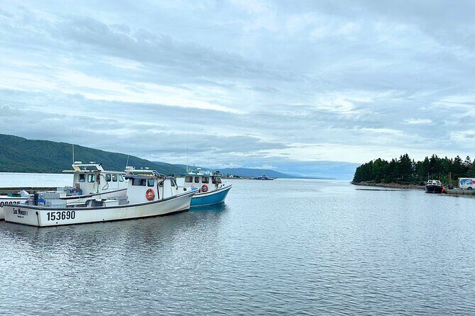 6 Hours Cabot Trail, Keltic Lodge and Ingonish Sights Tour - Who Should Consider This Tour