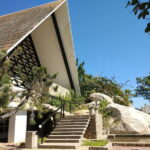 6 Hr City Tour Divers Turtles, All Attractions Only Hotels - Practicalities and Value