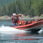 7-8 Hour Zodiac Whale Watching Tour - The Value of a Full Day on the Water