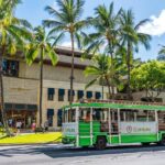 7 Day Pass LeaLea Trolley and Waikiki Trolley Pink Line - Final Thoughts: Is the LeaLea Trolley Pink Line Pass Worth It?
