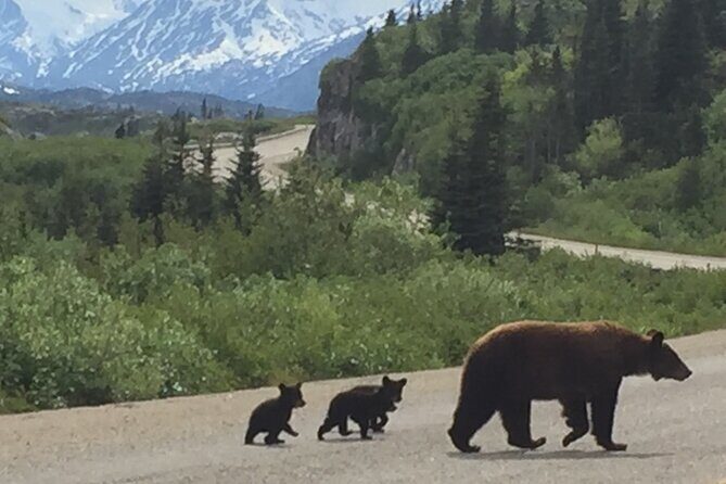 7 Hour Private Emerald Lake Van Excursion - The Experience: What Travelers Are Saying