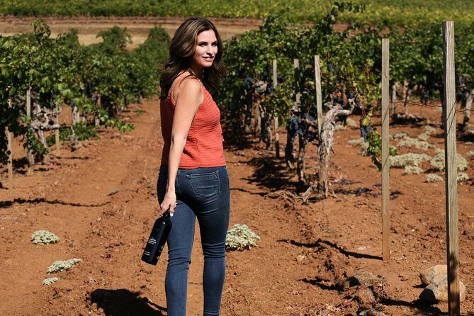 8-Hour Exclusive Wine Tour Experience for up to 6 Guests / Napa-Sonoma - The Itinerary Breakdown