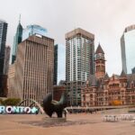 A Full Day In Toronto: Private And Personalized - Final Thoughts