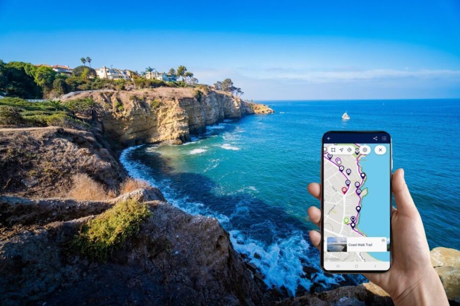 A Seaside Stroll: La Jolla's Hidden Treasures Walking Tour - Why This Tour Delivers Value