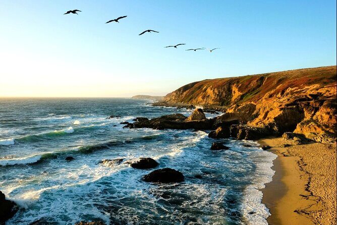 A Self-Guided Audio Tour Around Bodega Head - Why This Tour Provides Great Value