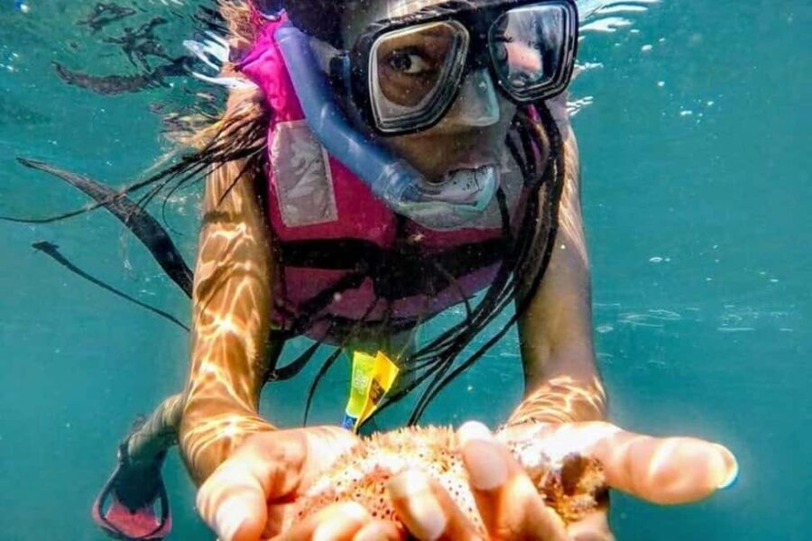 -Acapulco: Beach Break Experience with Snorkeling and Lunch - Detailed Breakdown of the Itinerary