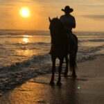 Acapulco: Bonfil Beach Horseback Riding Experience - The Value of the Experience