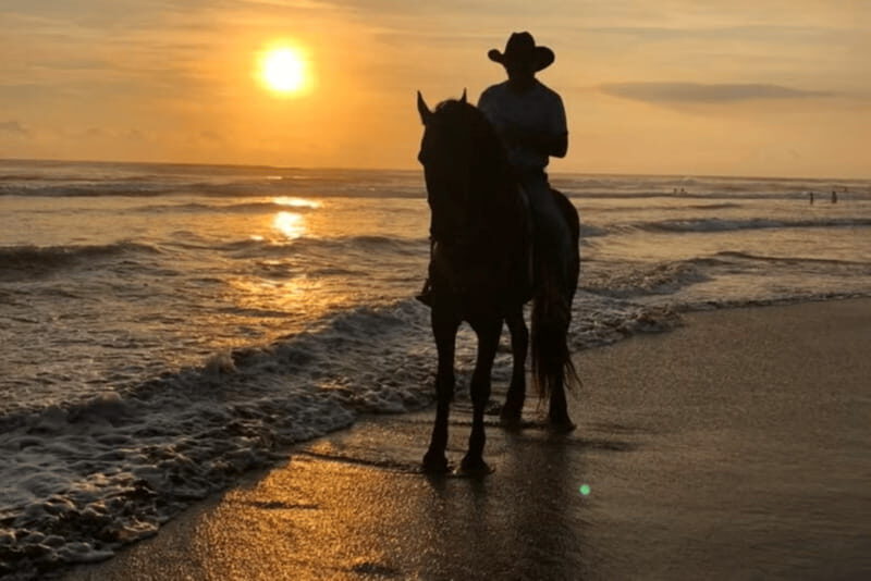 Acapulco: Bonfil Beach Horseback Riding Experience - The Value of the Experience