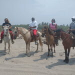 Acapulco: Horseback Riding, Turtle Camp, and Crocodile Tour - A Closer Look at the Experience
