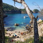 -Acapulco: La Roqueta Island Hiking and Snorkeling Tour - Discovering La Roqueta Island’s Natural Beauty