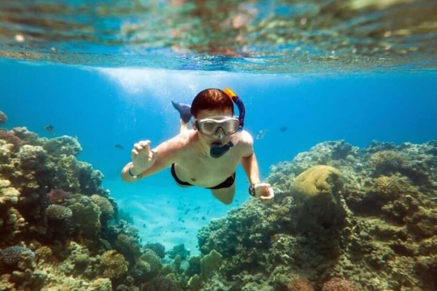 Acapulco: Snorkeling - Analyzing the Value and Experience