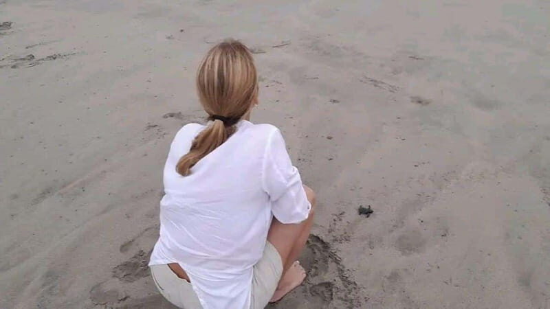 Acapulco: Turtle Release Experience - Who Will Love This Tour?