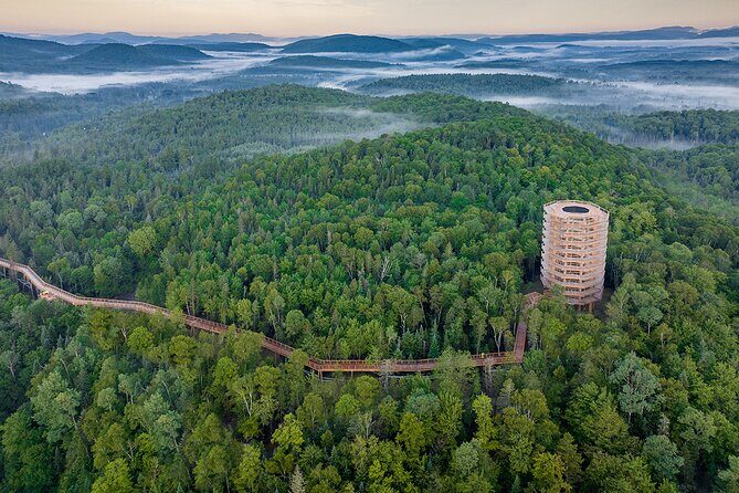 Access to Mont-Tremblant Treetop Observatory and Walk - What Do Visitors Say?