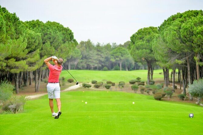 Active 1 Hour Private Professional Golf Tour in TPC Sawgrass - Analyzing the Value