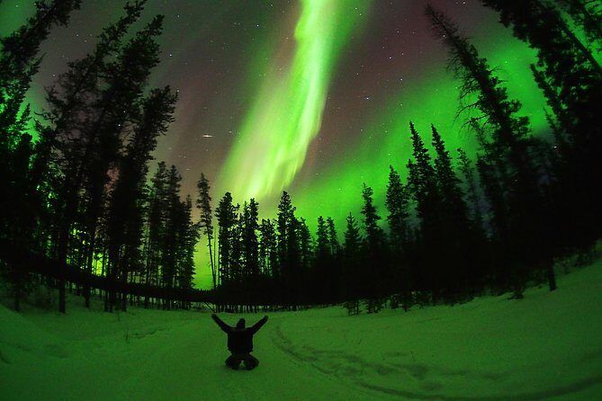 Active Winter Adventure in Yukon | 5 days - Authentic Experiences and Guest Feedback