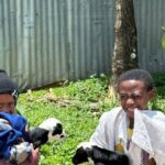 Addis Ababa Insider Tour: Explore with Certified Local Guides - What to Expect and How to Prepare