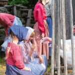 Admission 1 person - Visit of the Acadian Historic Village - Practical Tips for Visiting