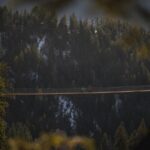 Admission Ticket to Golden Skybridge - Authentic Feedback from Visitors