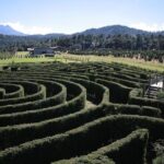Admission to the Alpinia Nature and Adventure Park - Extra Activities and Costs