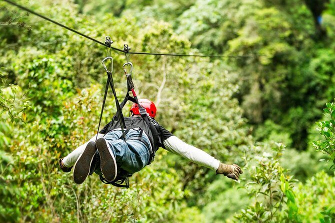 Adrenaline experience from Cancun Atvs Ziplines and a Mayan Cenote - What to Expect from This Adventure