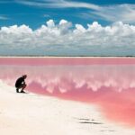 Adventour Day: Coloradas and Rio Lagartos Excursion from Cancun! - What’s Included and What’s Not