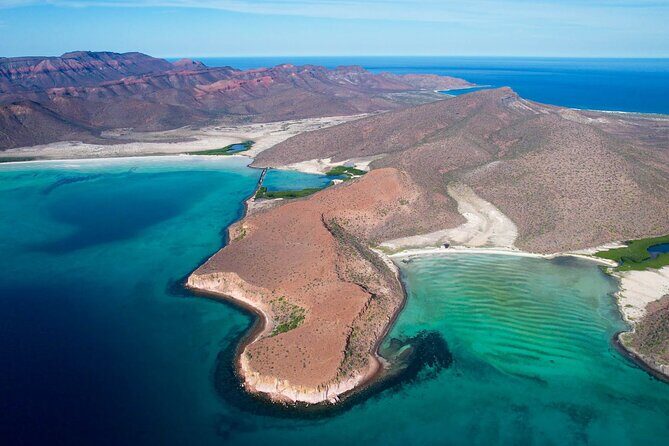 Adventure to Espiritu Santo Island: Snorkel with Sea Lions and Beach - The Experience: What Sets This Tour Apart