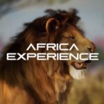 Africa Hologram Adventure at Zoocade - The Itinerary and Experience Breakdown