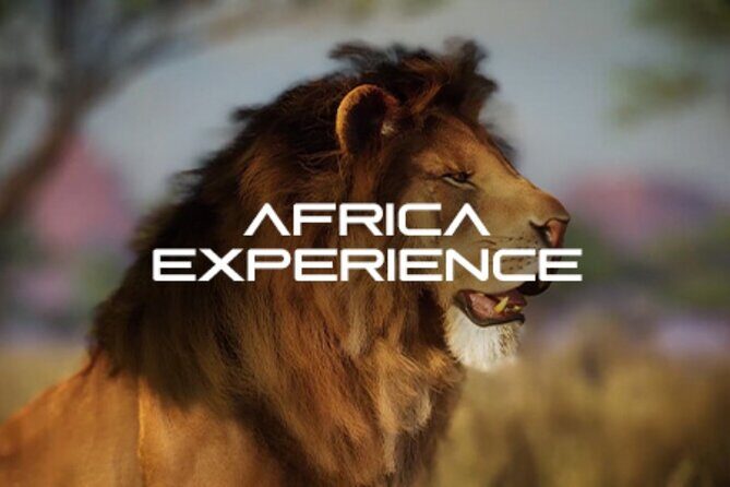Africa Hologram Adventure at Zoocade - The Itinerary and Experience Breakdown