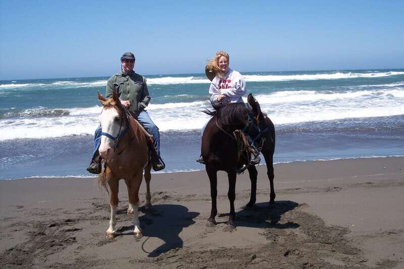 *Afro-Mex Village Horse Ride, Turtle Release Crocodile Farm - Who Would Enjoy This Tour?
