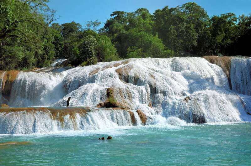 Agua Azul, Misol-Ha & Palenque Ruins from San Cristobal - What You Can Expect for the Price