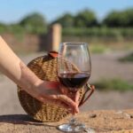 Aguascalientes: Enotourism Tour - Why This Tour Works