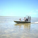 Airboat Adventure - What to Expect from the Tour