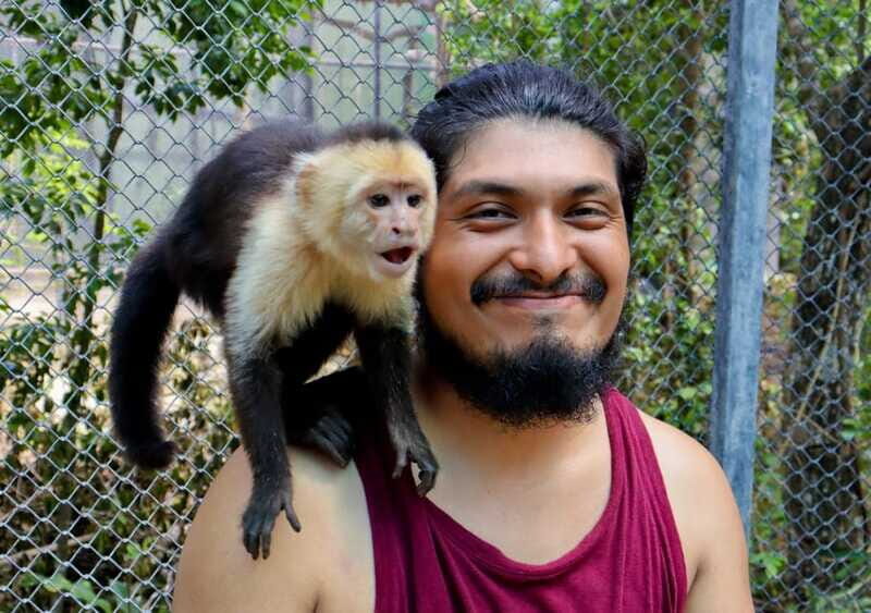 Akumal: Explore the Monkey Sanctuary, ATV Circuit and Cenote - Value and Practicalities