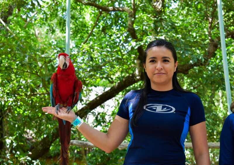 Akumal: Monkey Sanctuary, ATV, Cenote, & Yalku Snorkel Tour - What’s Included and What’s Not