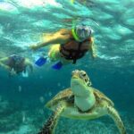 Akumal paradise tour Swimming with Turtles & ancient Tulum Ruins. Lunch included - Who Gains the Most from This Tour?
