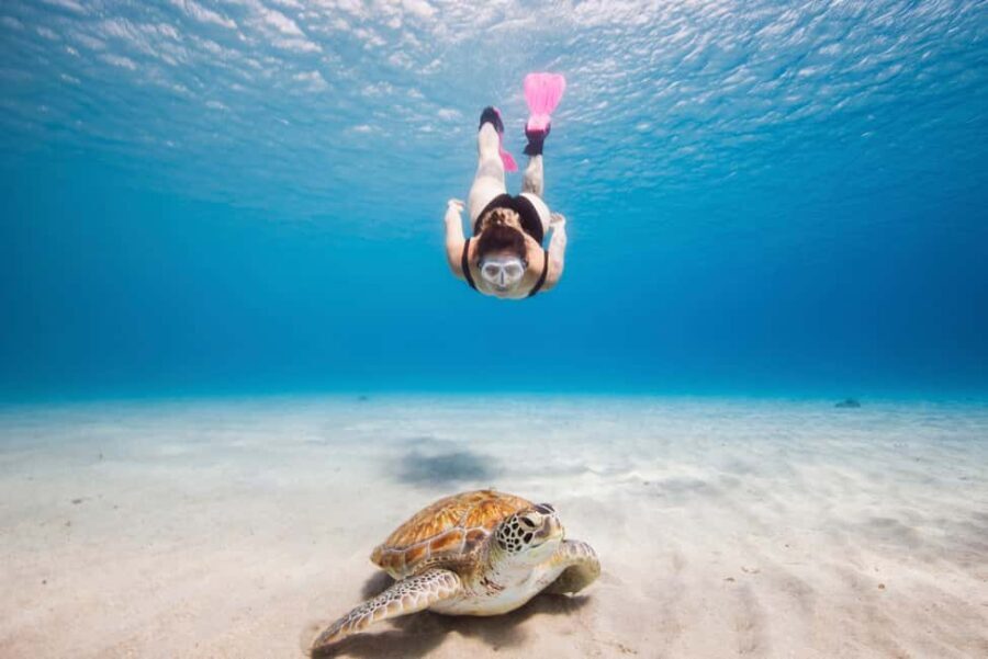 Akumal: Snorkeling Adventure with Turtles and Marine Life - The Underwater World of Akumal