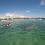 Akumal turtles sanctuary and go pro photos - FAQ