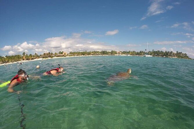 Akumal turtles sanctuary and go pro photos - FAQ