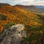 Alabama: 3-Day East Alabama Family Fun Multi-Attraction Pass - What does it all mean for you?