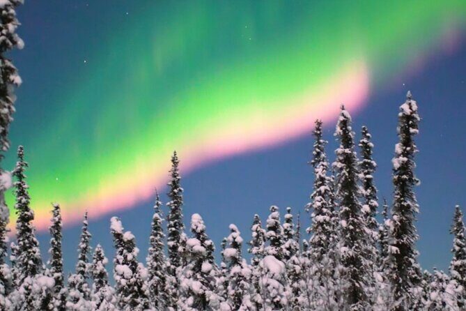 Alaska Aurora Season and Fairbanks Aurora Chasing Explore - What Travelers Say