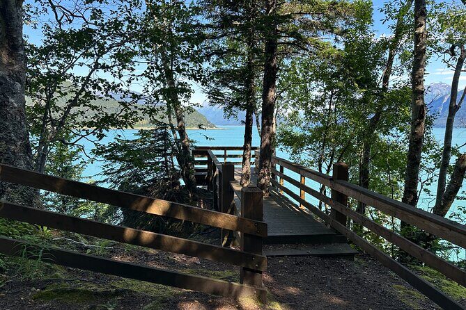 Alaska Nature Immersion: Forest Therapy Tour in Haines, Alaska - The Sum Up